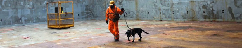 Biosecurity Detection - Conservation K9 Consultancy